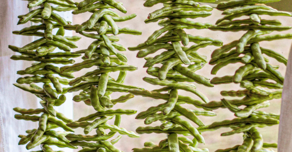 Aw, Shucks: A Brief Discourse on Shucky Beans by Mike Templeton ...