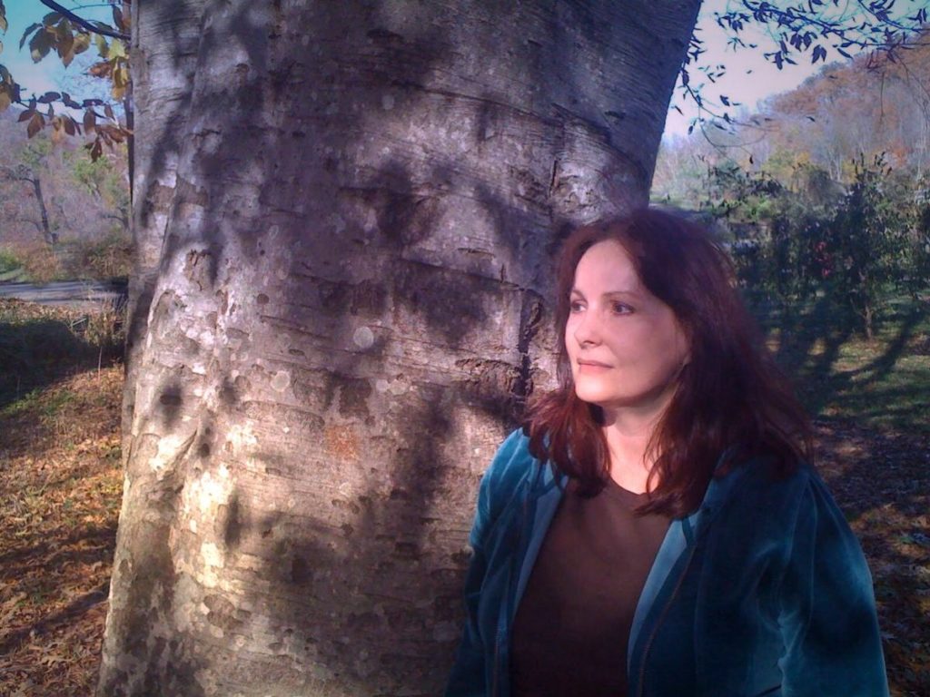 Tess Collins: Placing Appalachia at the Heart of Contemporary Fiction ...