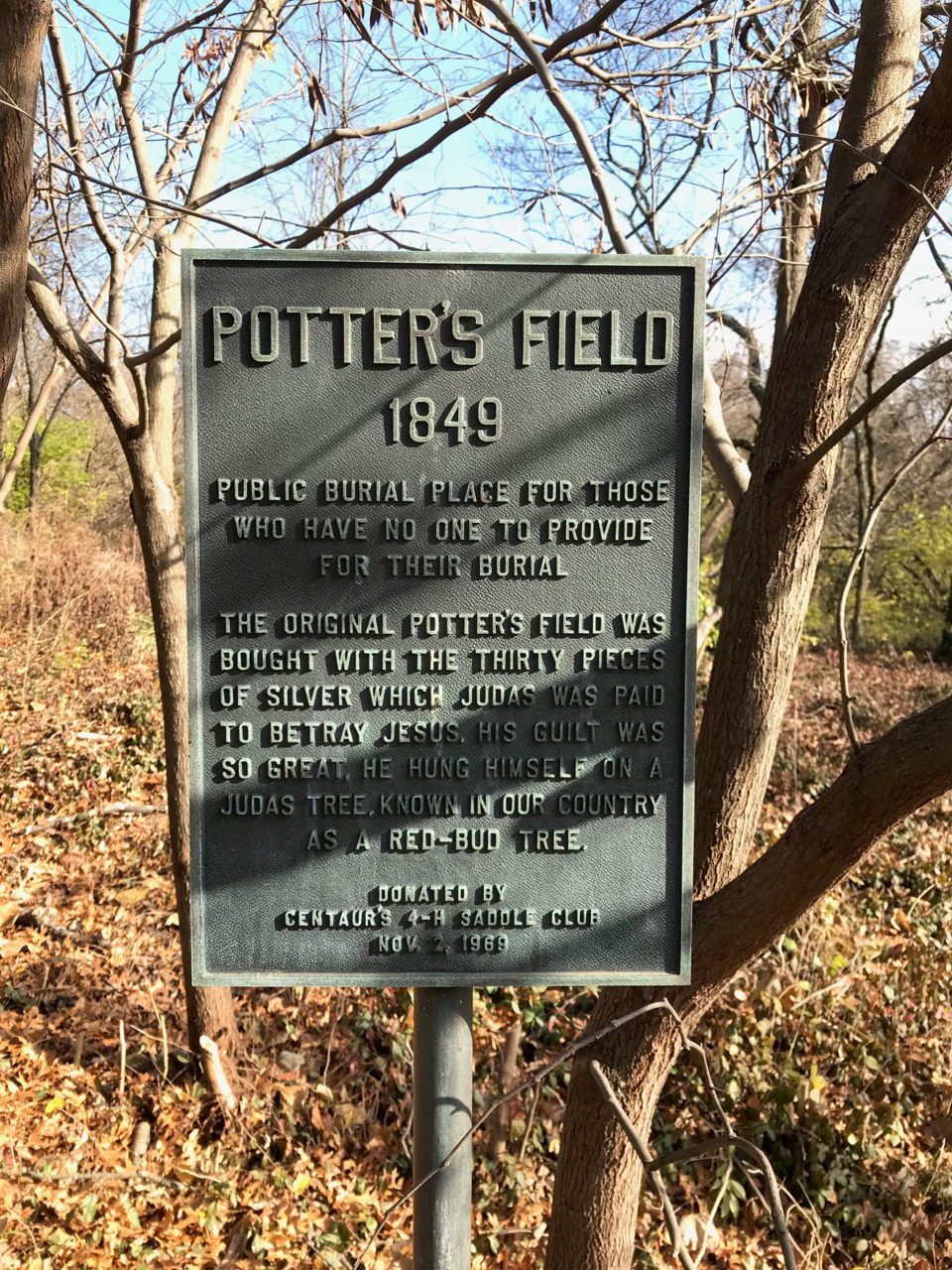 Matt Farley Talks about his poetry and working on the restoration of ...